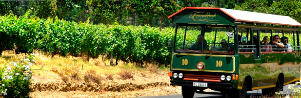 Hop on the Franschhoek Wine Tram - cometocapetown.com
