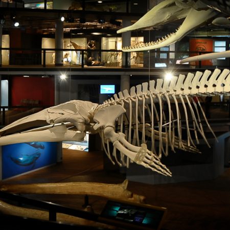 Diamonds and Champagne with Shimansky - cometocapetown.com