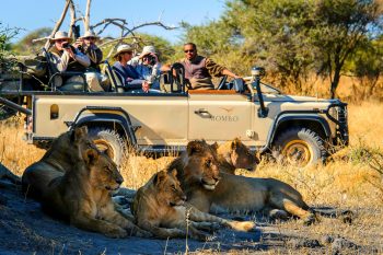 15 top South African outdoor adventures | ComeToCapeTown