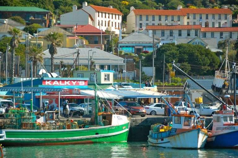 17 Things To Do Alone in Cape Town | ComeToCapeTown