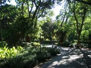 17 Things To Do Alone in Cape Town | ComeToCapeTown