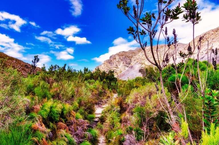Best Waterfalls in Cape Town | ComeToCapeTown.com